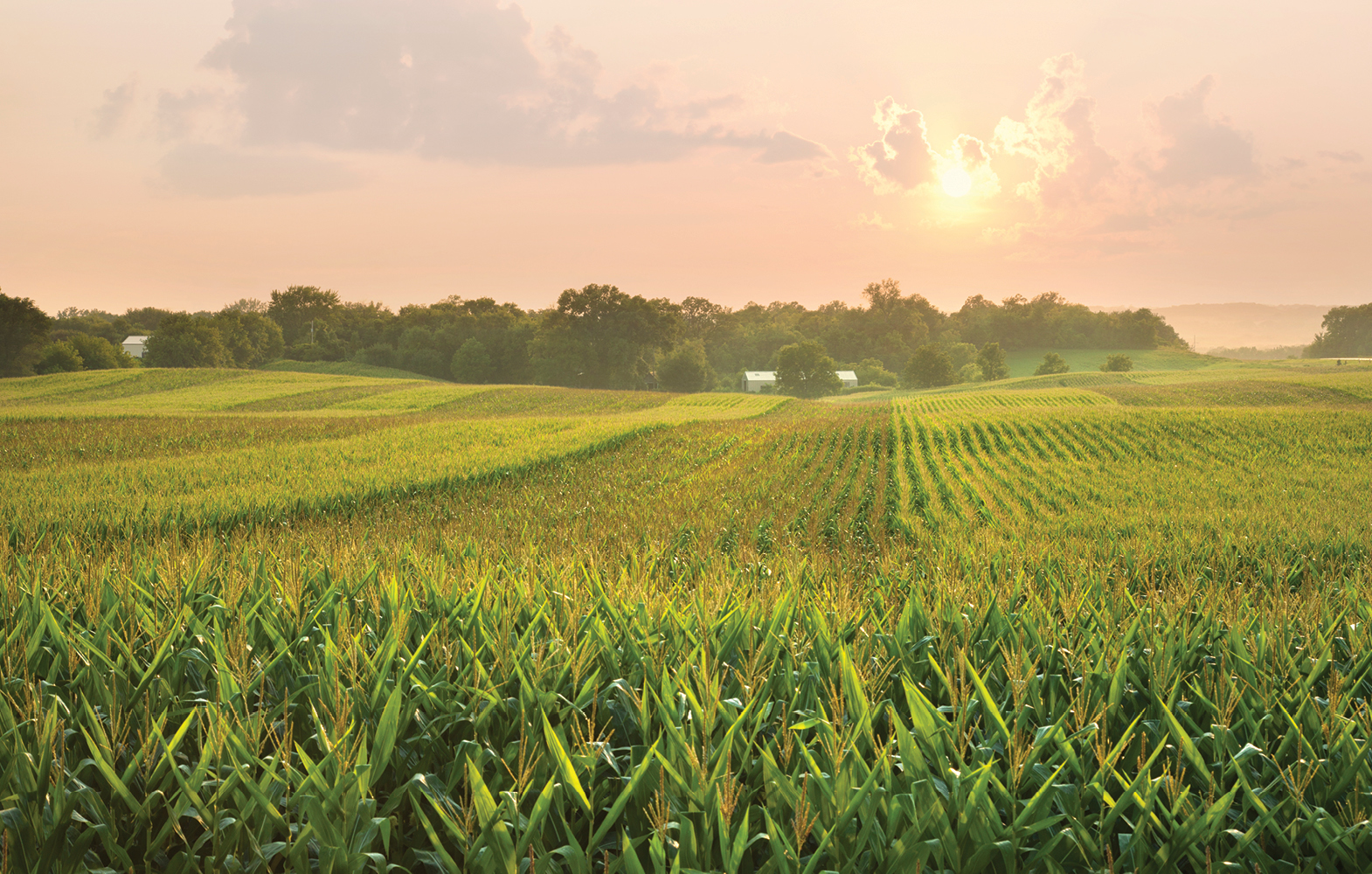 Greener Multifamily Pastures Ahead Prime360