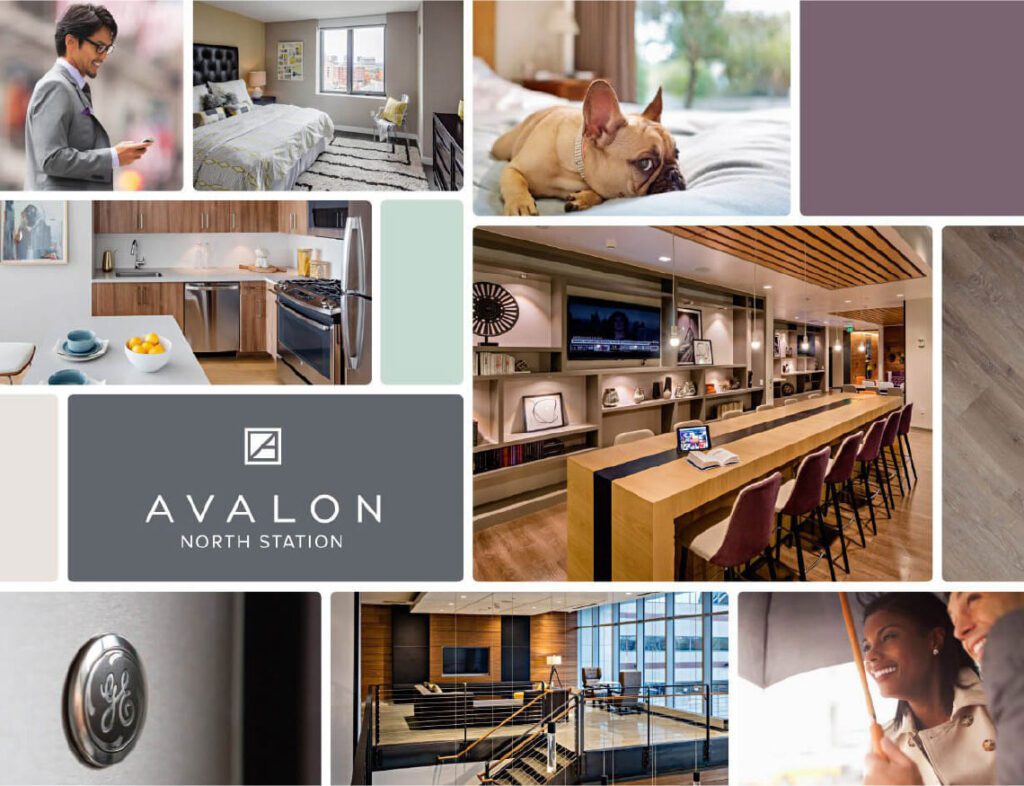 Case Studies | Avalon Bay | Primary