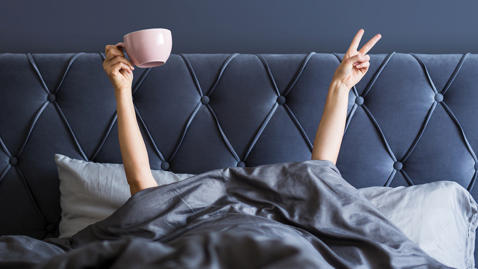 Case Studies | LLH | Primary